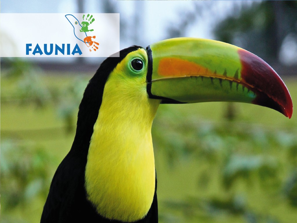 Comprar entradas | Faunia