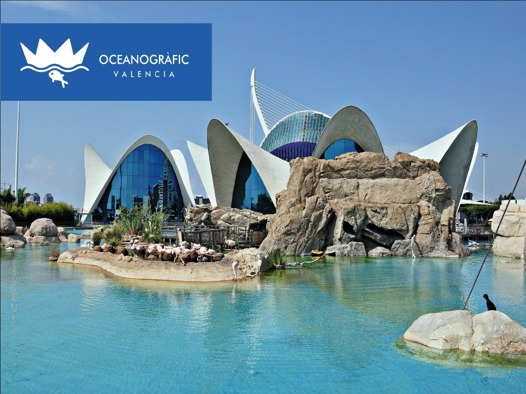 Oceanogràfic | Comprar Entradas