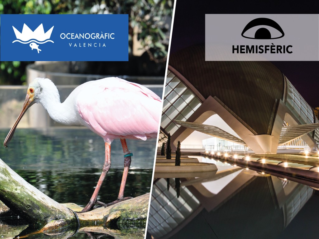 Oceanogràfic | Comprar Entradas