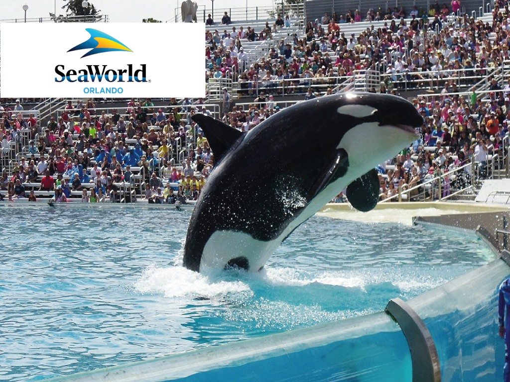 Seaworld Orlando | Comprar Entradas