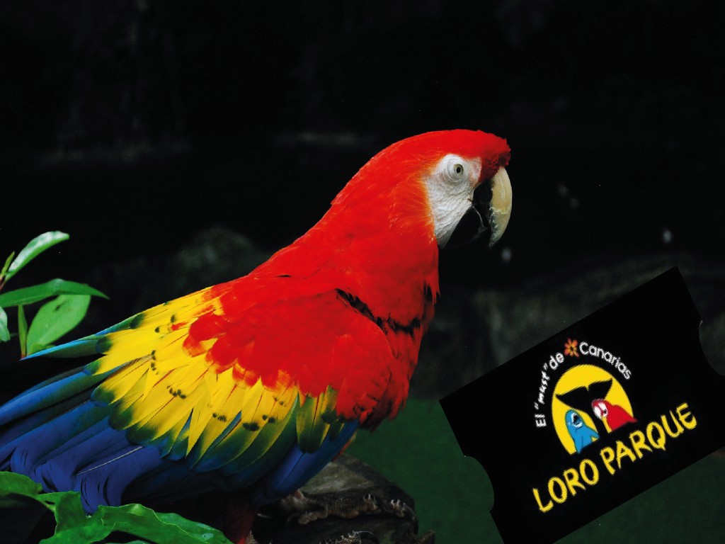 Loro Parque | Comprar entradas